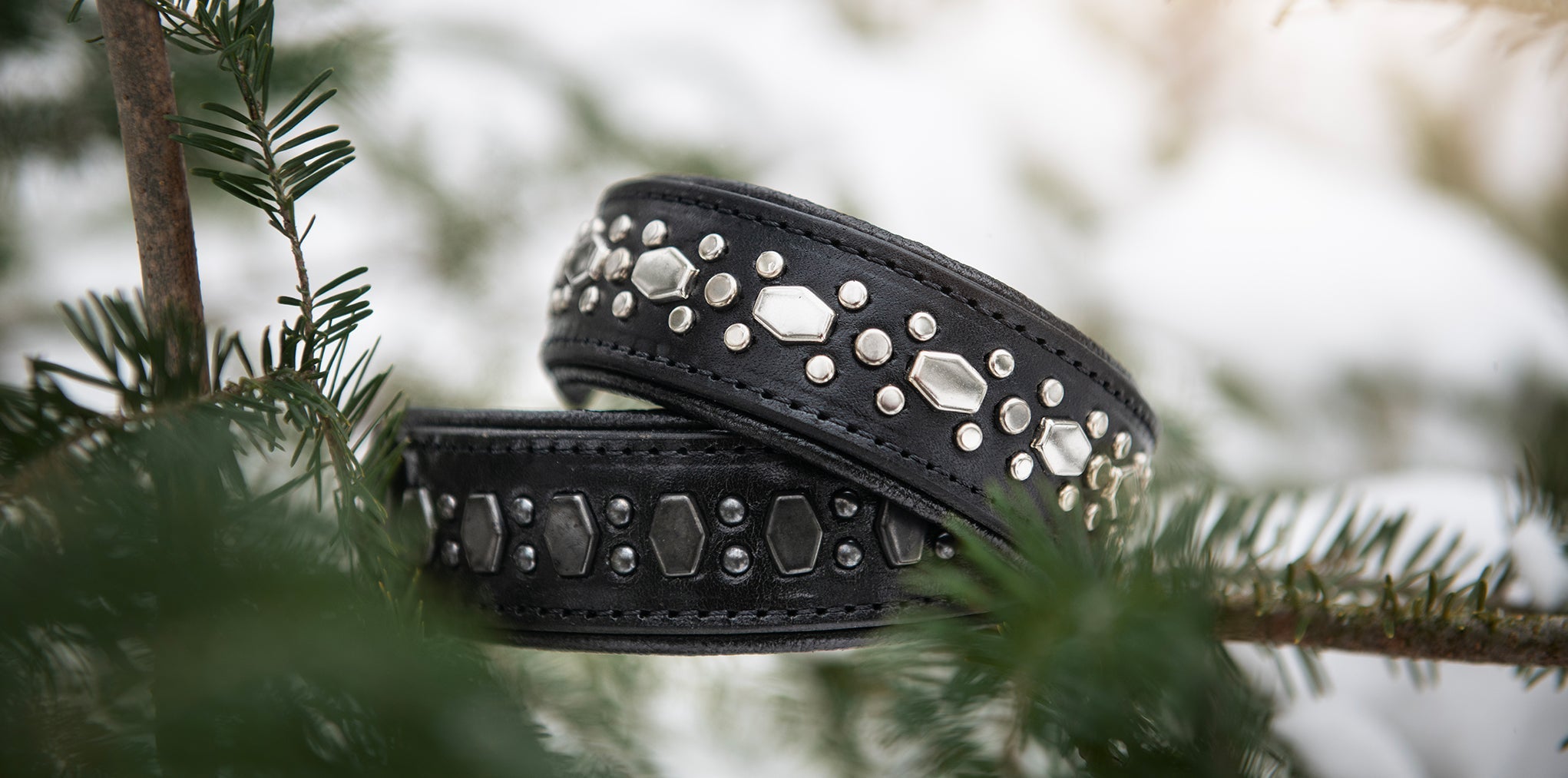 Discover our Embossed Leather Dog Collar and Leashes! – Fusion By ...
